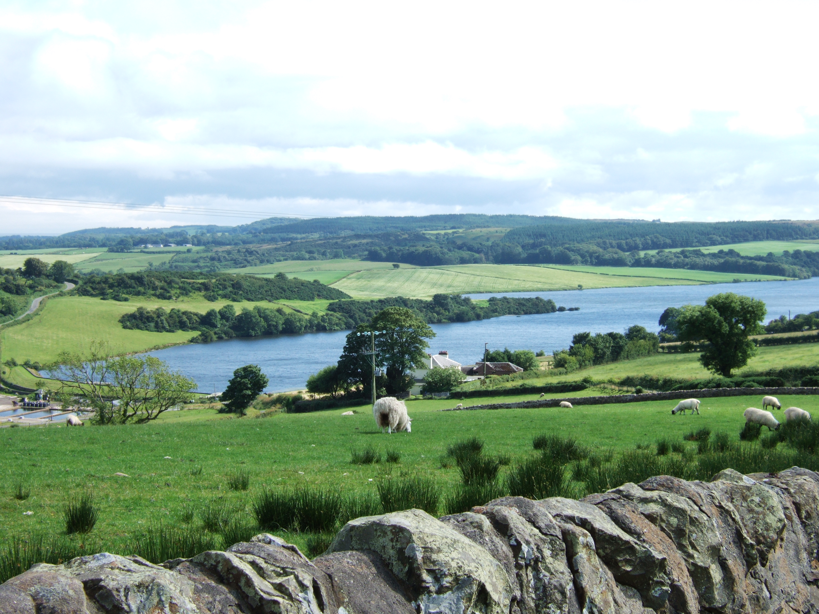 Bute Walks – Ascog and the Victorian Fernery – Marguerite Kaye
